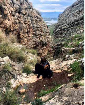 Biblical Mount Gilboa Today (Photos) - Believers Portal