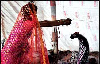 Hindu Girl Snake Worship - Believers Portal